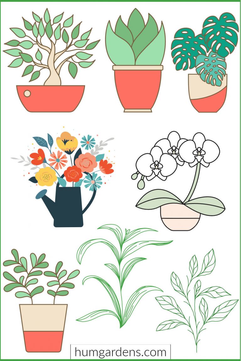 Hum Gardens » Learn How to Start a Garden - Tips for Starting a Garden