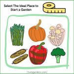 Hum Gardens » Learn How to Start a Garden - Tips for Starting a Garden